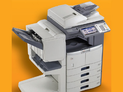 Comercial Espe Limitada